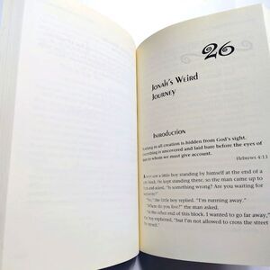 Toys | Seven Ducks In Dirty Water 5 Devotions For Kids Mary Rose ...